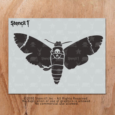 Moth with Skull Stencil (8.5″x11″) | Stencil 1